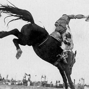 The First Rodeo – Antiques at Home